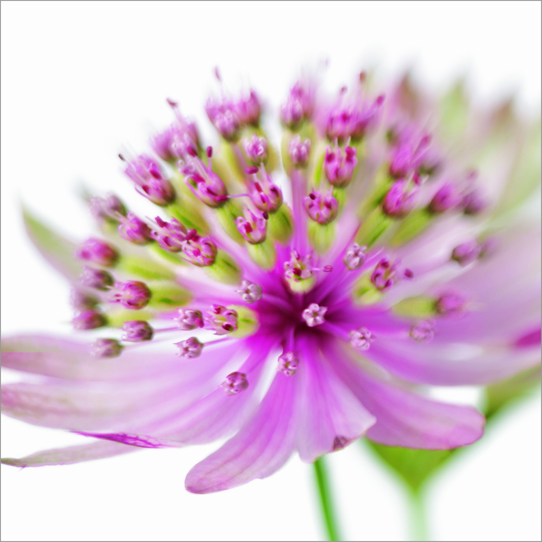 Collections – Dyson Design